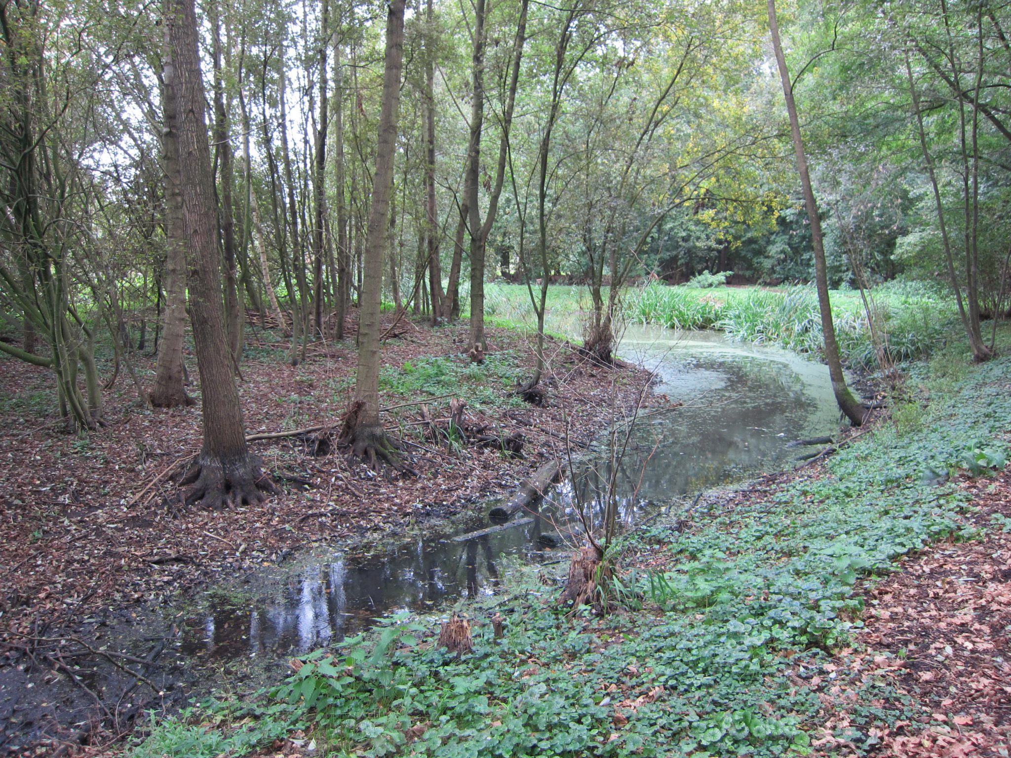 Landschapselementen – Hoveniersbedrijf Den Groene Hollander