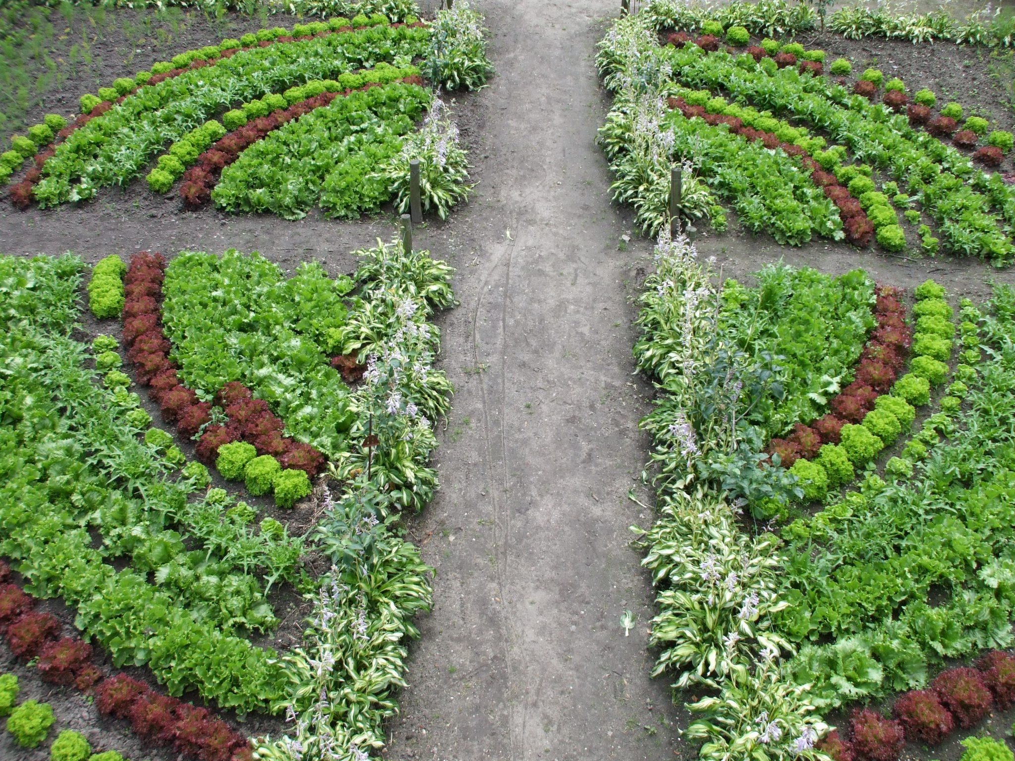 Moestuinen – Hoveniersbedrijf Den Groene Hollander