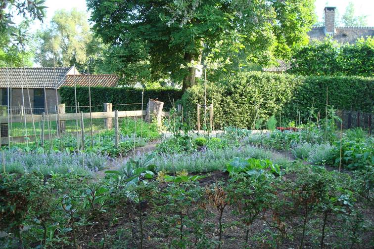 Moestuinen – Hoveniersbedrijf Den Groene Hollander